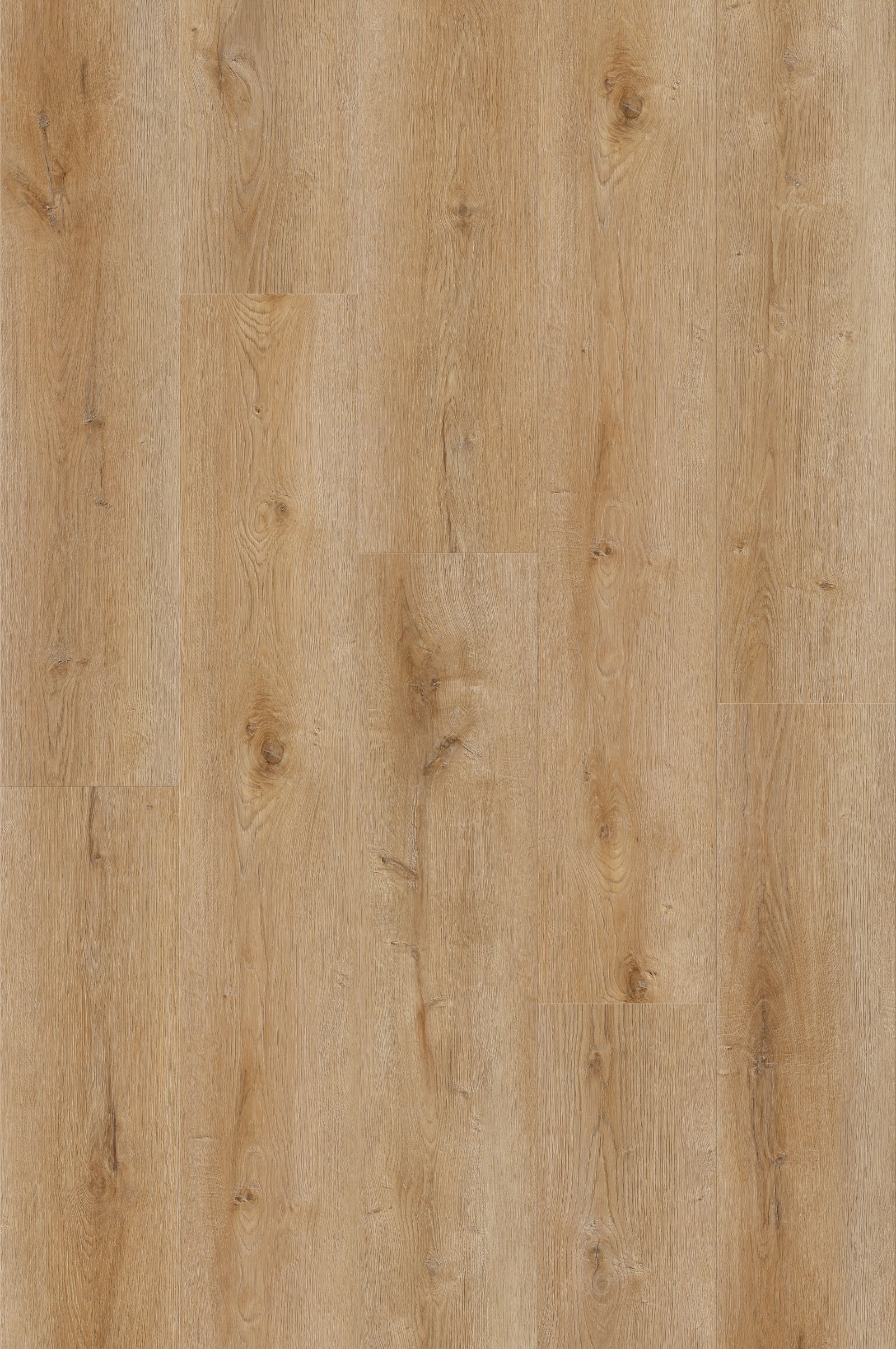 Forest Fern Luxury SPC Vinyl Flooring – Waterproof LVP